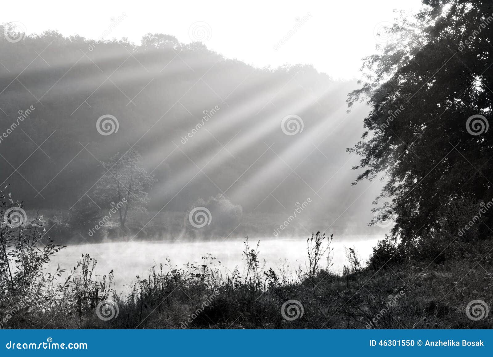 BW landscape stock photo. Image of lawn, meadow, beauty - 46301550