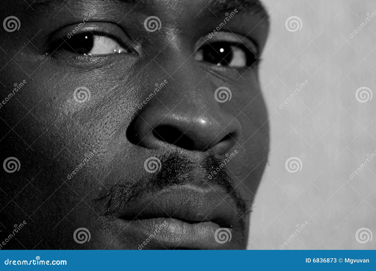 BW Mistrust portrait stock image. Image of attractive - 6836873