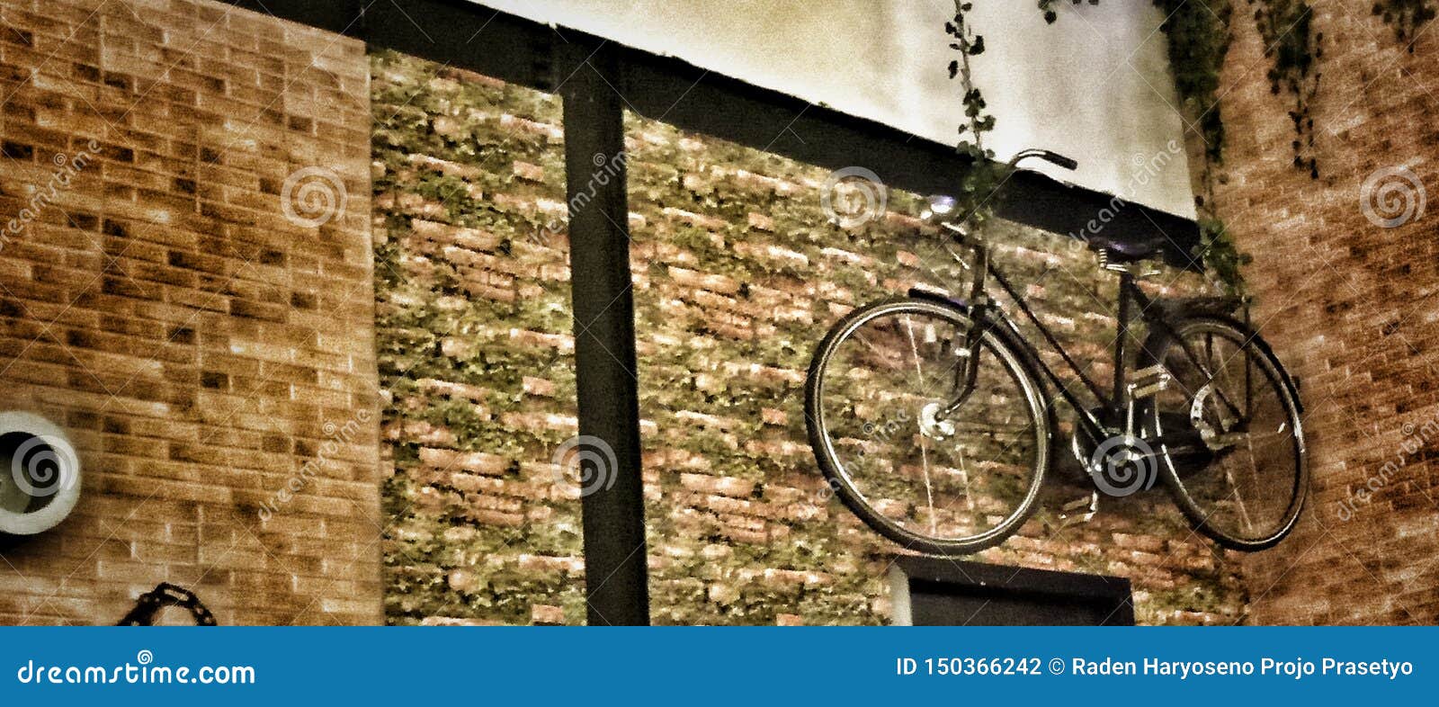 Bycycle on the wall stock photo. Image of wall, nice - 150366242