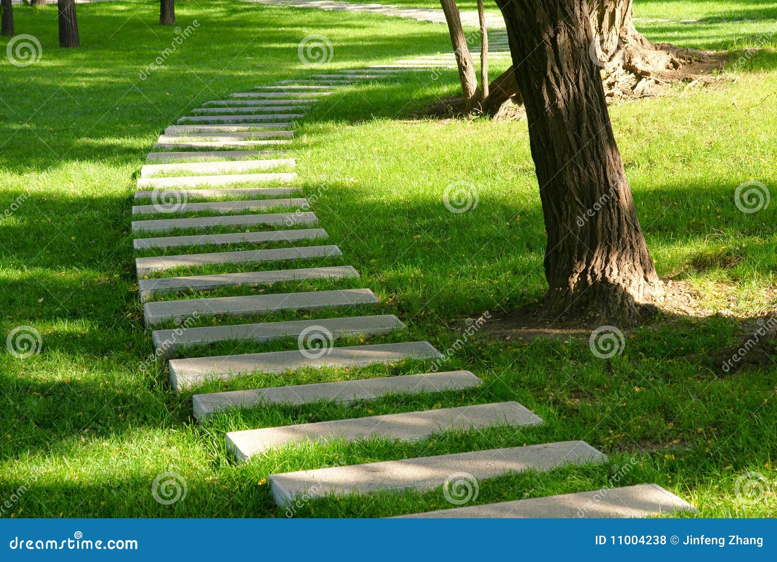 Bypath stock photo. Image of tree, outdoor, grass, nature - 11004238