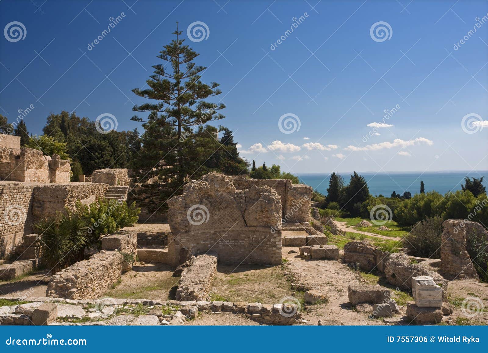 Byrsa Hill - the Punic Quarter Stock Photo - Image of hill, punic: 7557306