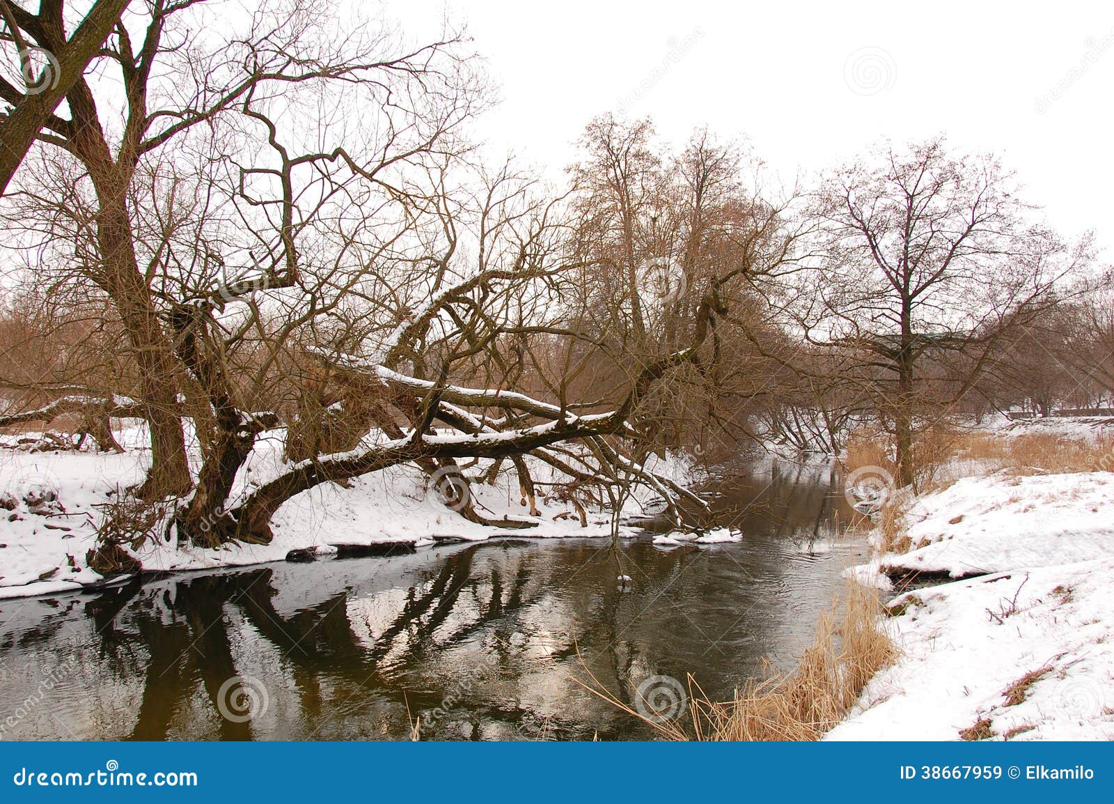Bystrzyca River view stock image. Image of bystrzyca - 38667959