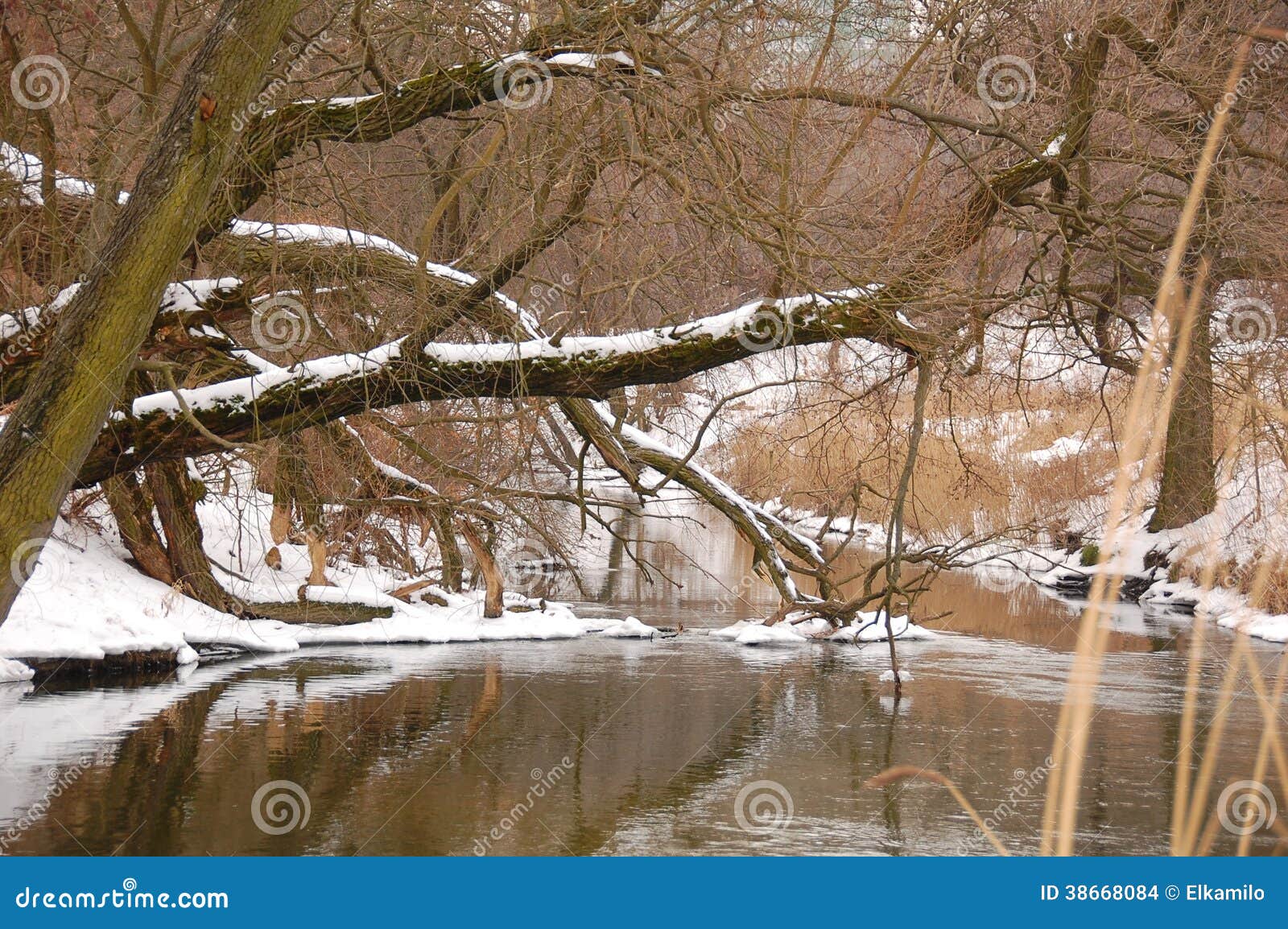 Bystrzyca River view stock photo. Image of river, cold - 38668084
