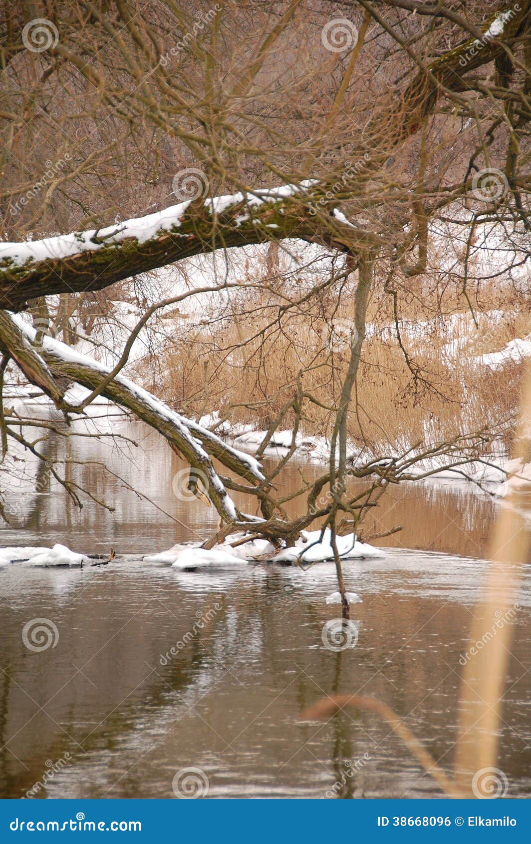 Bystrzyca River view stock photo. Image of broken, snow - 38668096