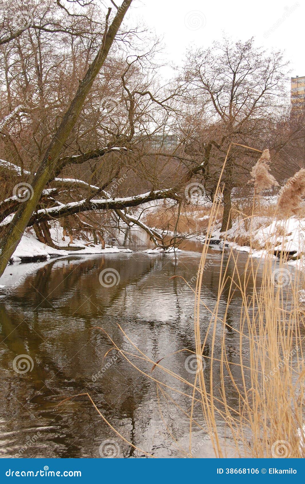 Bystrzyca River view stock photo. Image of snow, winter - 38668106