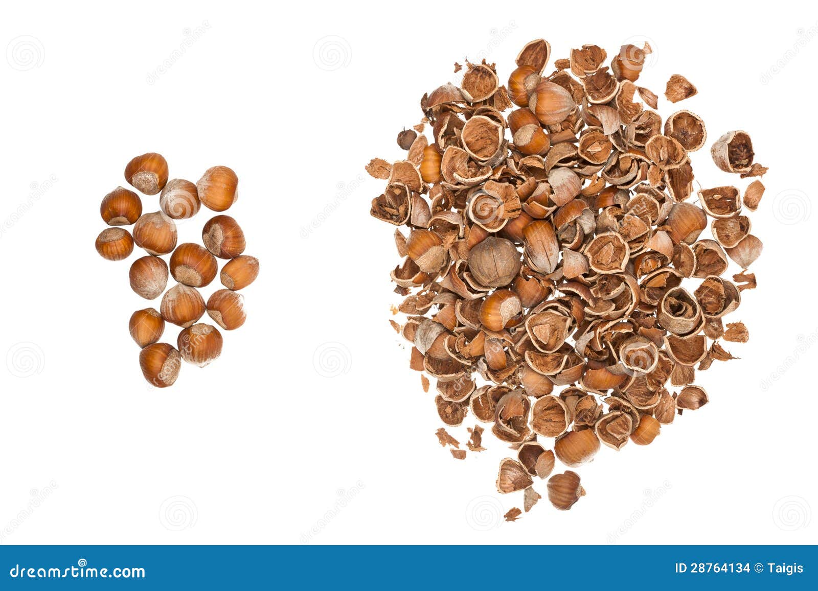 Cáscaras De Nuez Nuts Y Vacías Foto de archivo - Imagen de primer ...