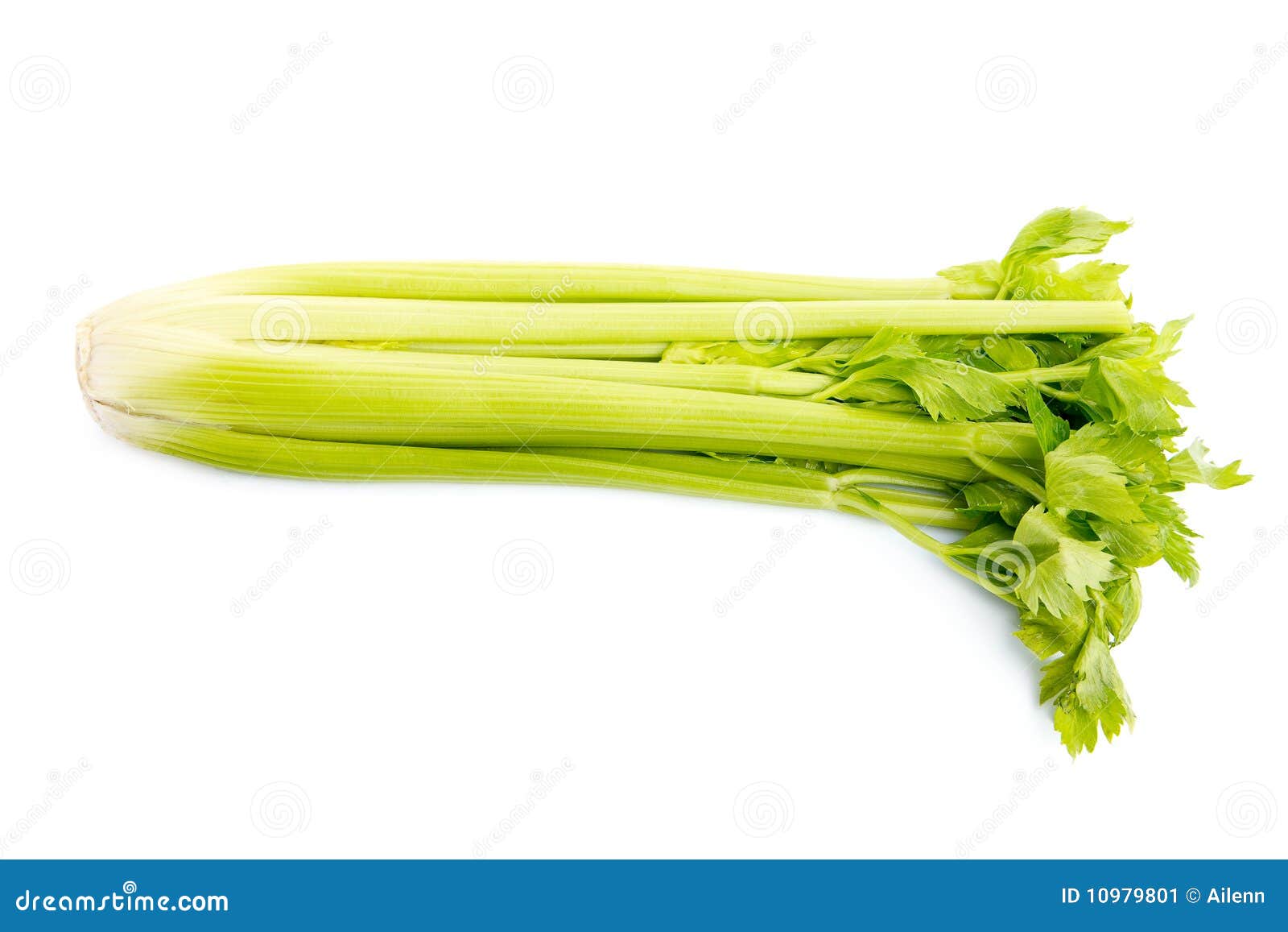 Céleri image stock. Image of régime, coupure, nature - 10979801