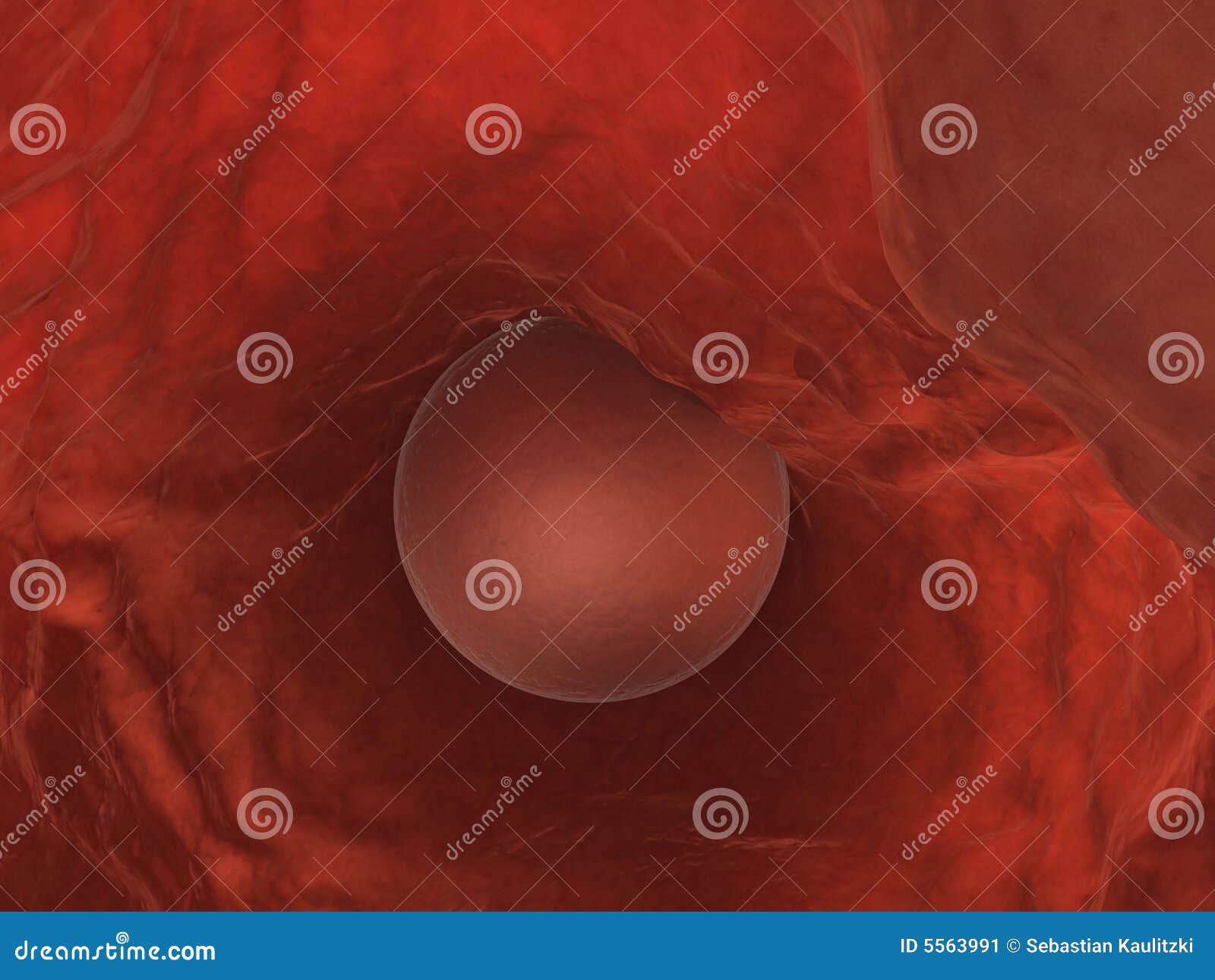 Célula del óvulo humano stock de ilustración. Ilustración de orgasmo ...