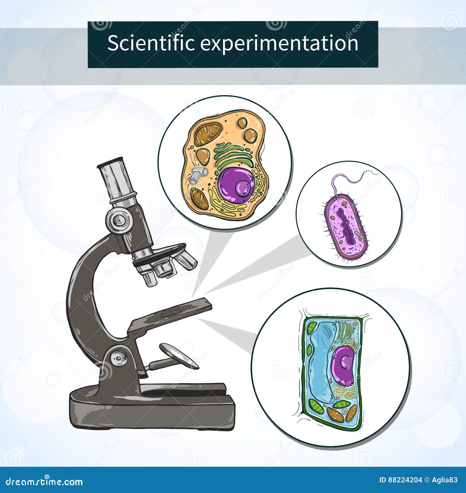 Células Debajo Del Microscopio Laboratorio Científico Ilustración del ...