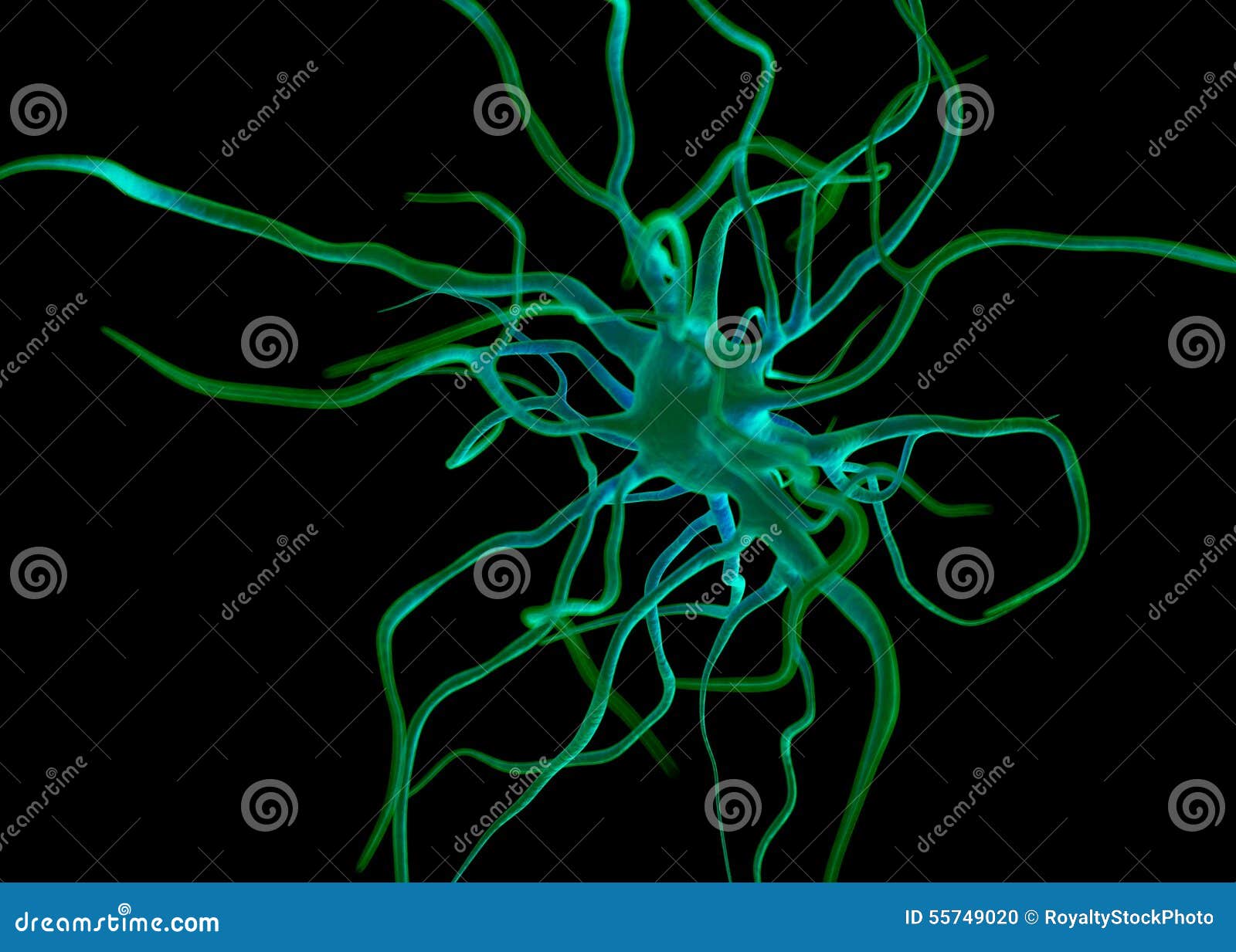 Células Nerviosas O Neuronas Stock de ilustración - Ilustración de ...