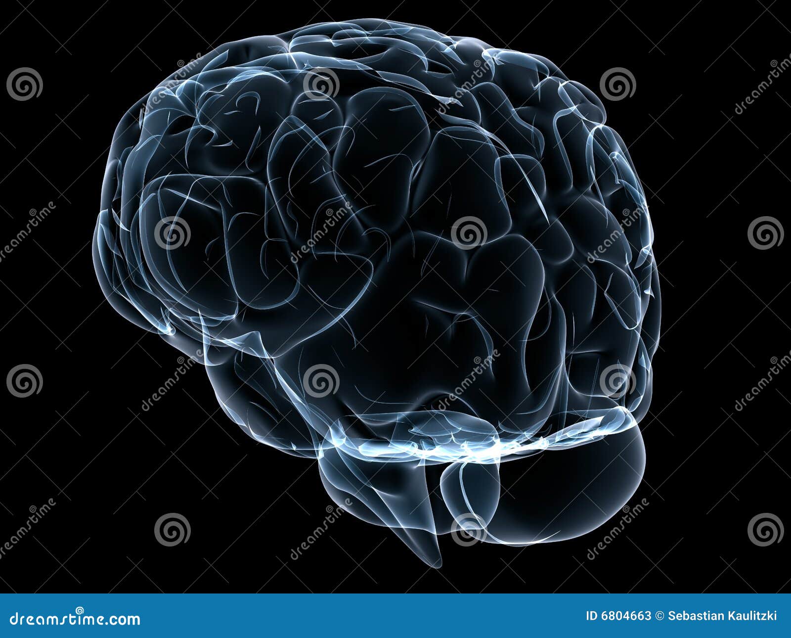 Cérebro Transparente Humano Ilustração Stock - Ilustração de crânio ...