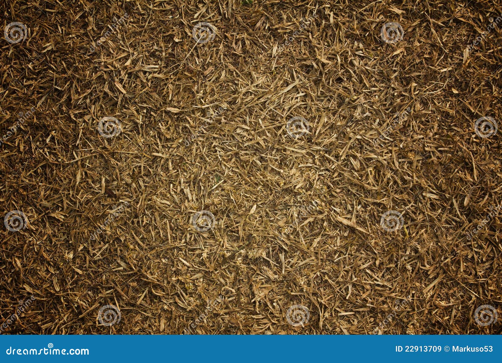 Césped de la hierba seca imagen de archivo. Imagen de tierra - 22913709