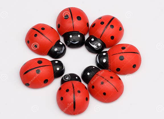 Círculo del Ladybug foto de archivo. Imagen de brillante - 7128848