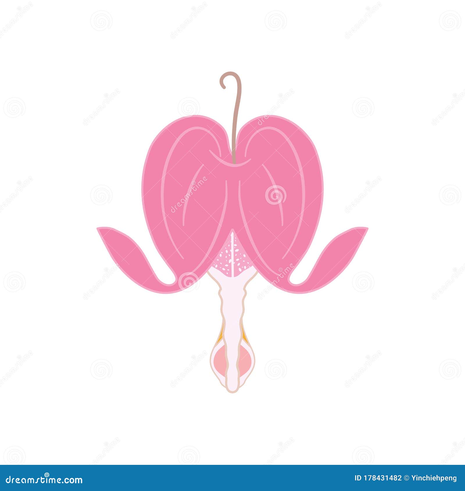 Pink Bleeding Heart Stock Illustrations – 132 Pink Bleeding Heart Stock ...