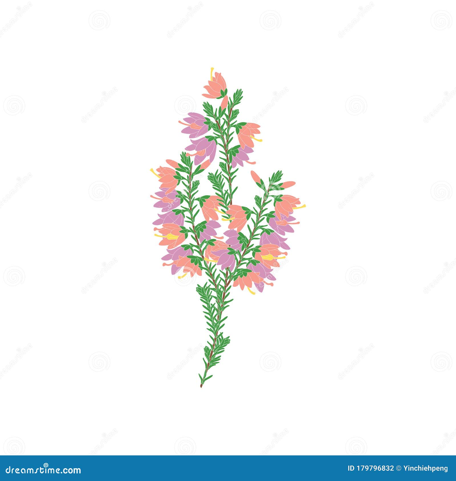 Heather Icon In Black Style Isolated On White Background. Scotland ...