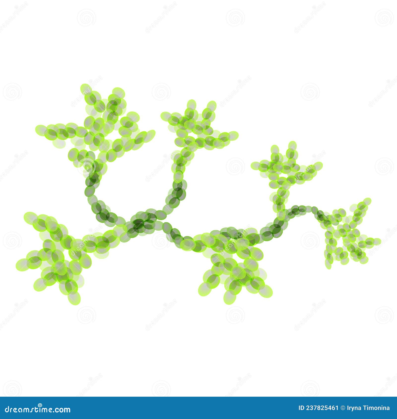 Pathogenic Yeast Fungus Cryptococcus Neoformans Which Causes ...