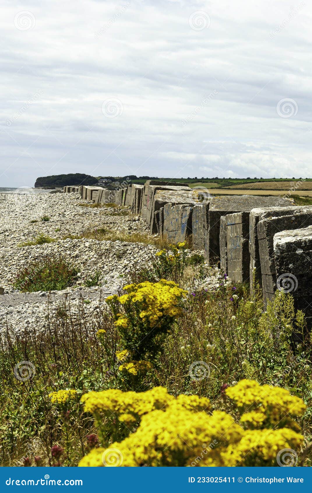 WW2 Anti-tank Defence Lines Stock Image - Image of remain, place: 233025411