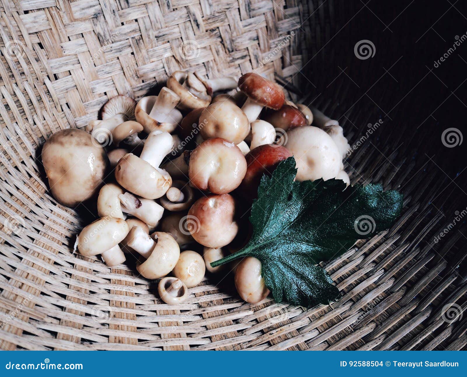 C'est Champignon Sauvage Dans L'osier Photo stock - Image du fond ...