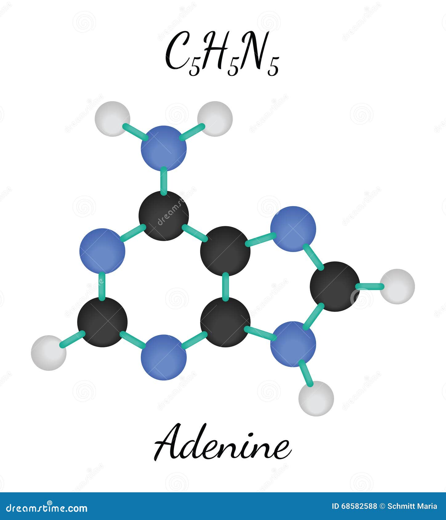 Adenine, Ade Molecule. It Is Purine Nucleobase, Fundamental Unit Of The ...
