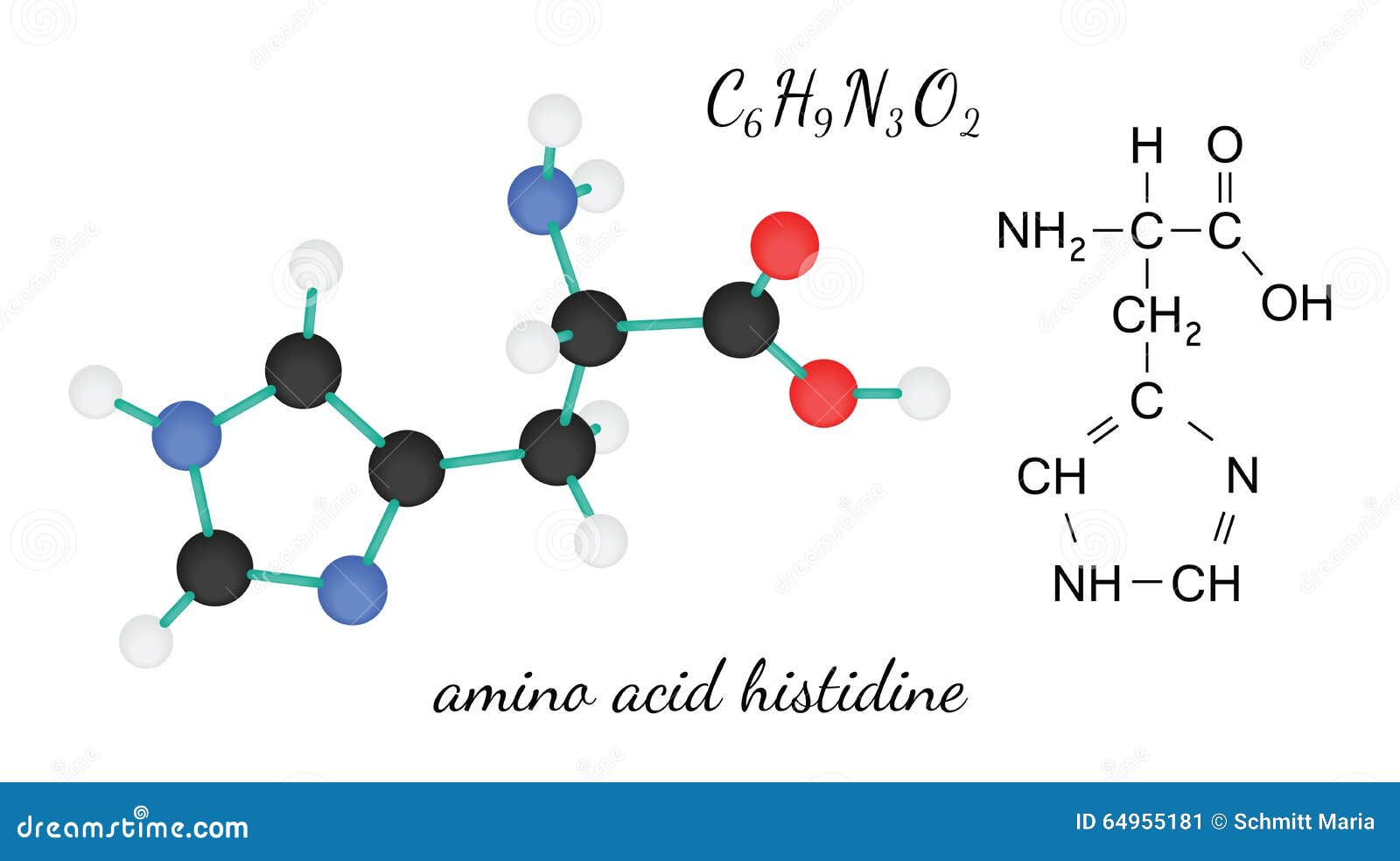 Histidine L-histidine, His, H Amino Acid Molecule. Skeletal Formula ...