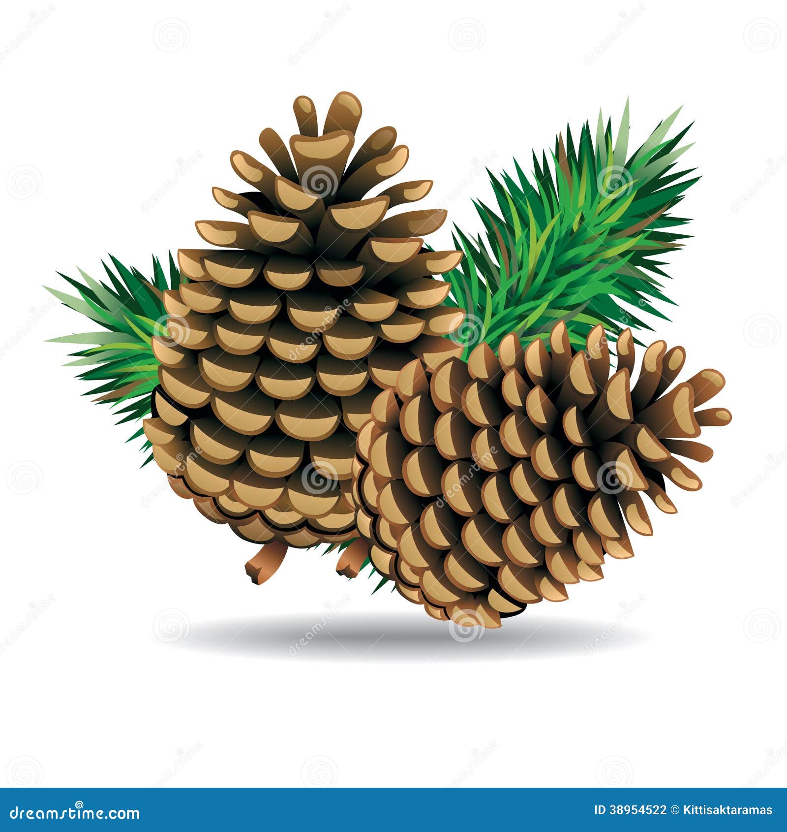 Cônes De Pin Avec Des Aiguilles De Pin. Illustration de Vecteur ...