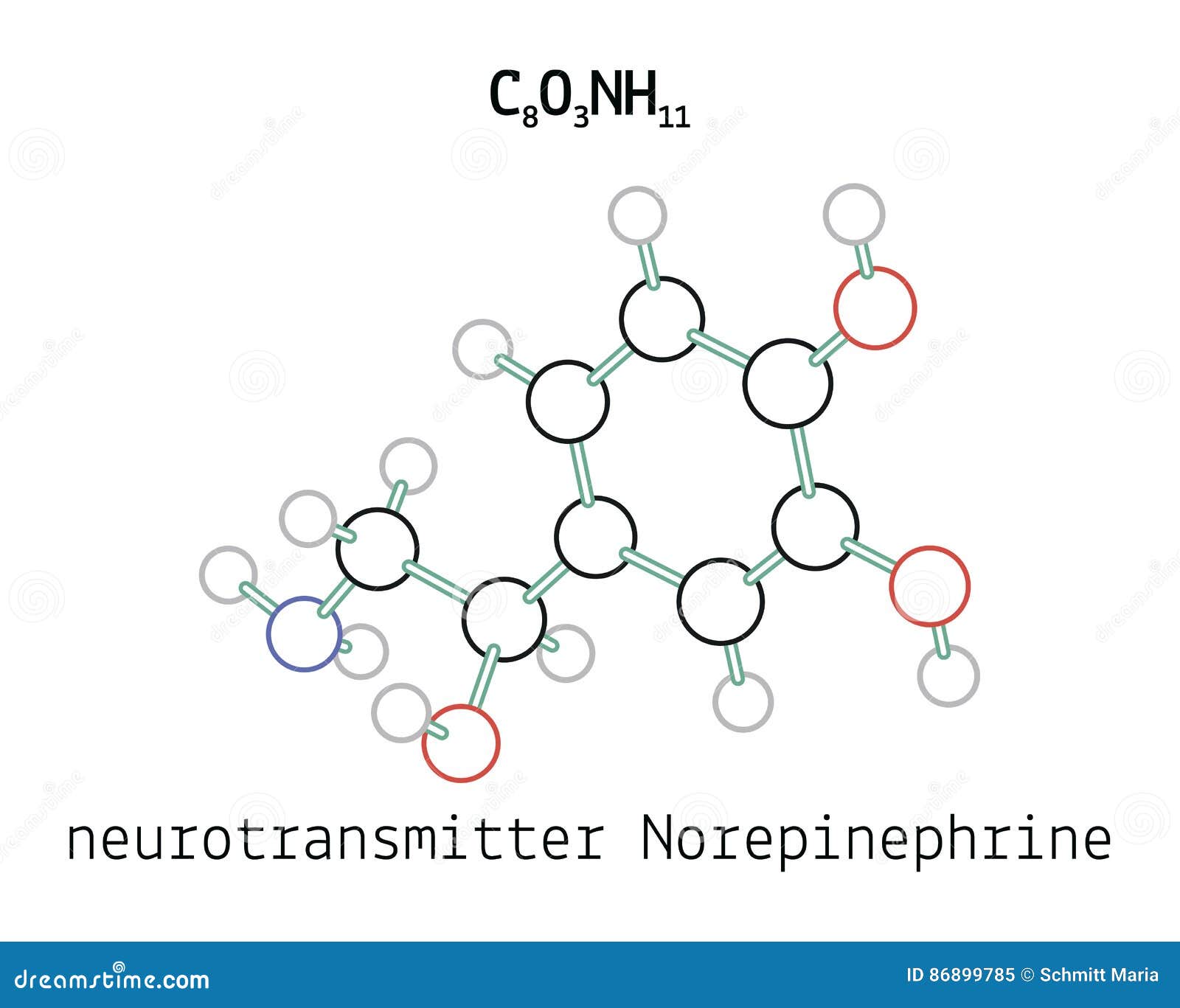Norepinephrine Molecule 3d, Molecular Structure, Ball And Stick Model ...