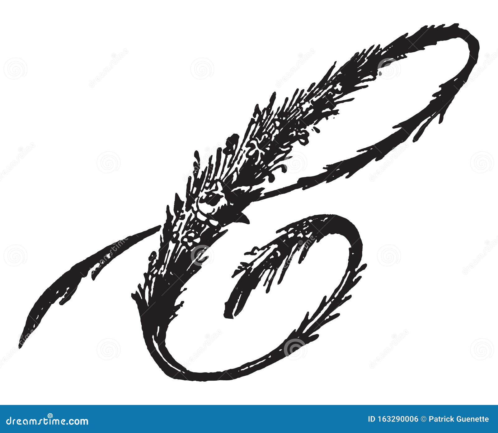 C, Ornamental Script, Vintage Illustration Stock Vector - Illustration ...
