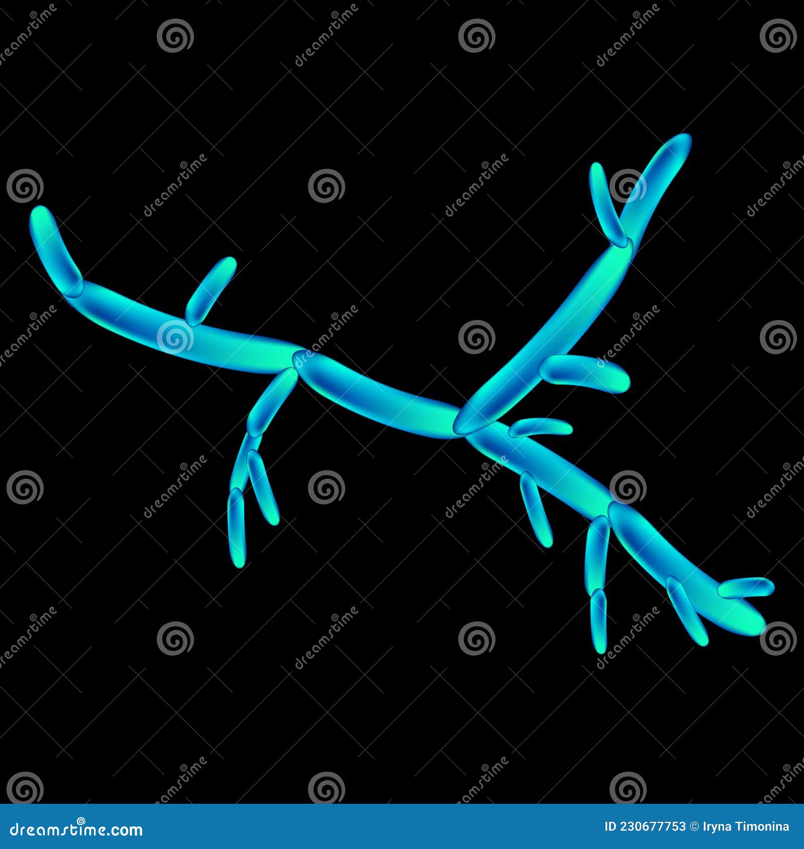 Candida Yeast, A Pathogen That Causes Candidiasis Royalty-Free Stock ...