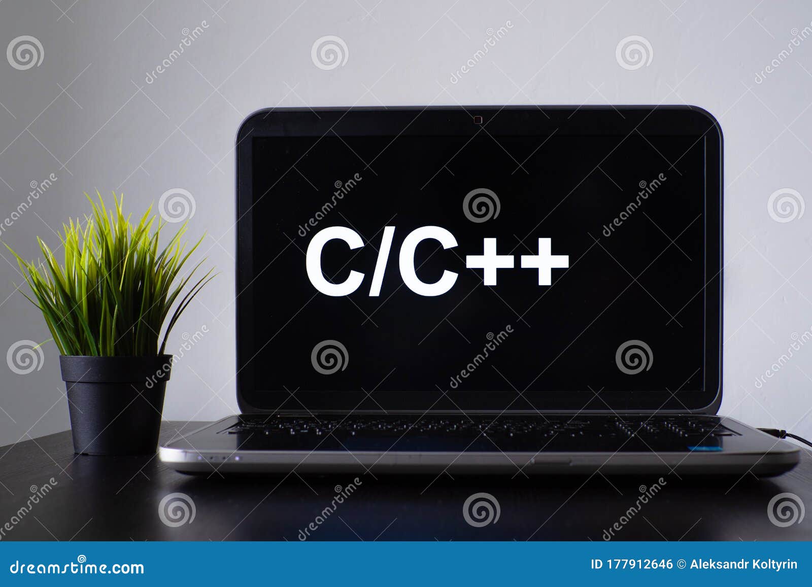 C Plus Programming Language. Programming Training, the Concept of ... C Plus Programming Language. Programming Training, the Concept of ...