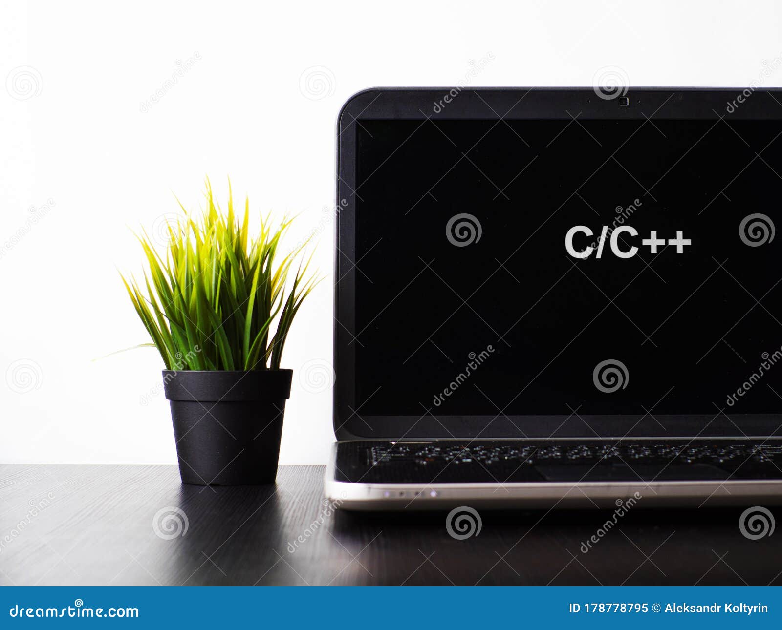 C Plus Programming Language Programming Training The Concept Of Computer Courses Stock Image