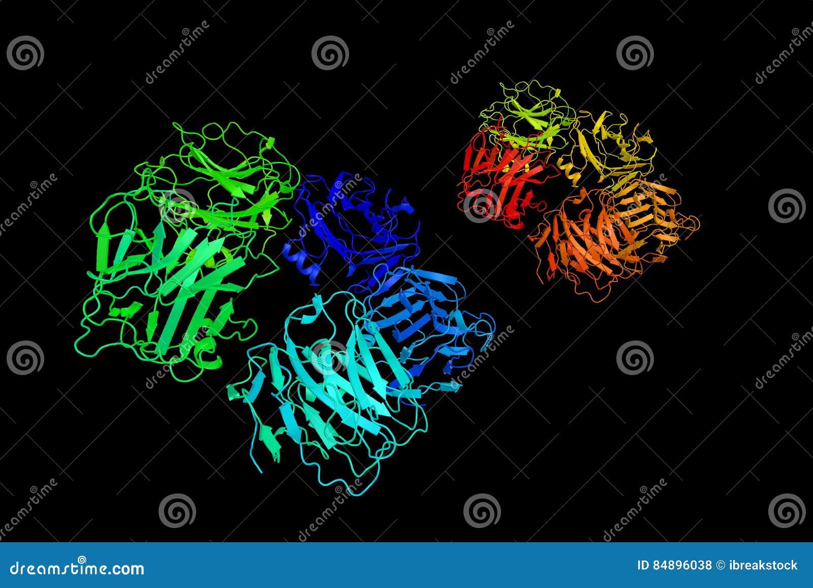 C-reactive Protein CRP, an Annular Ring-shaped, Protein Stock ...