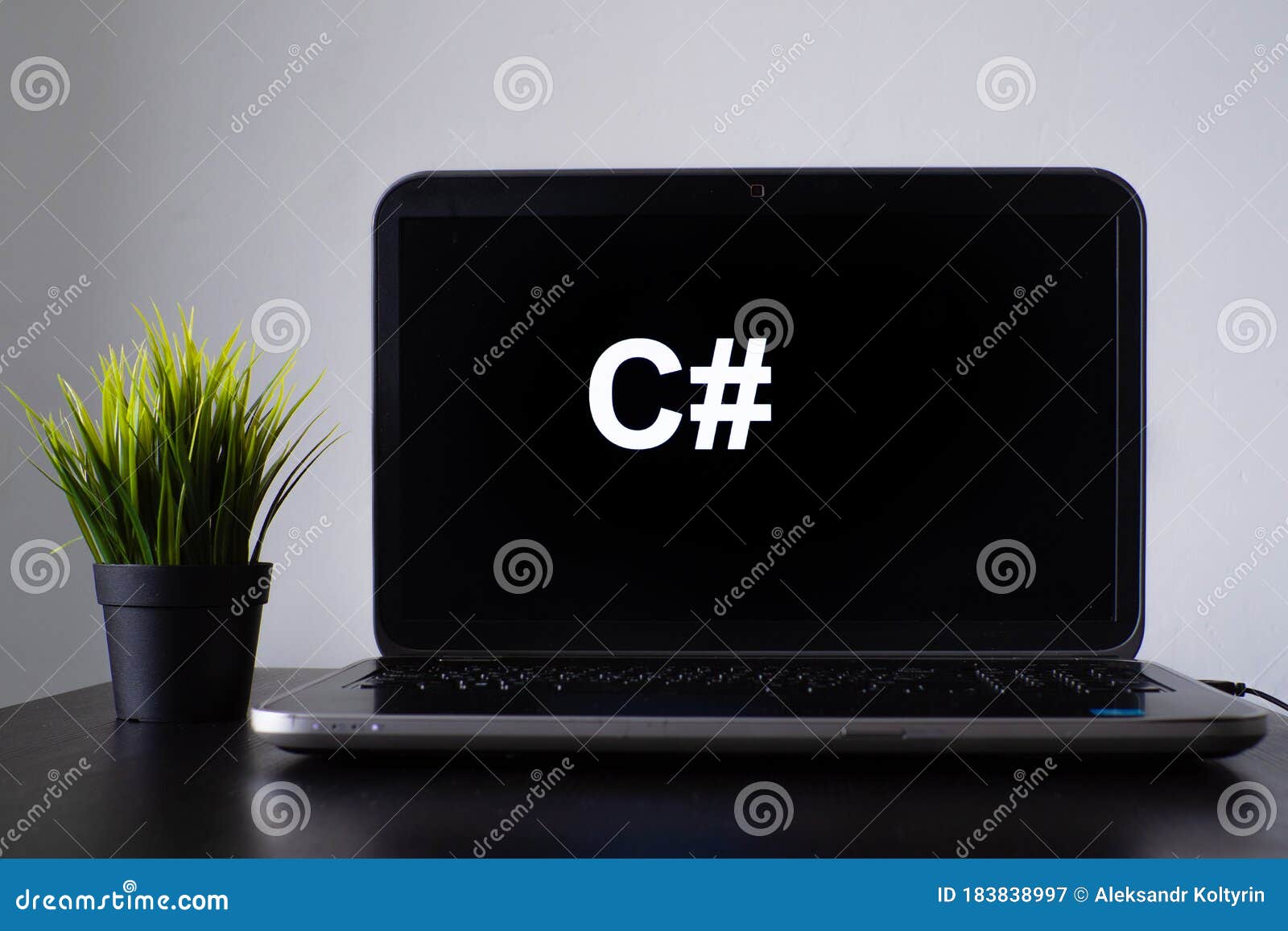 C Sharp Programming Language Programming Training The Concept Of Computer Courses Stock Image