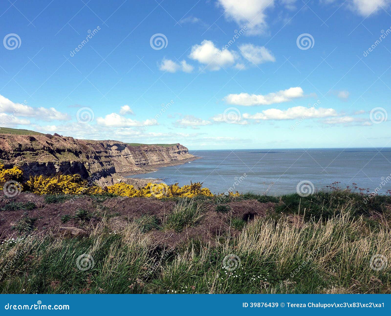 Côte image stock. Image du ciel, fleurs, jaune, bleu - 39876439