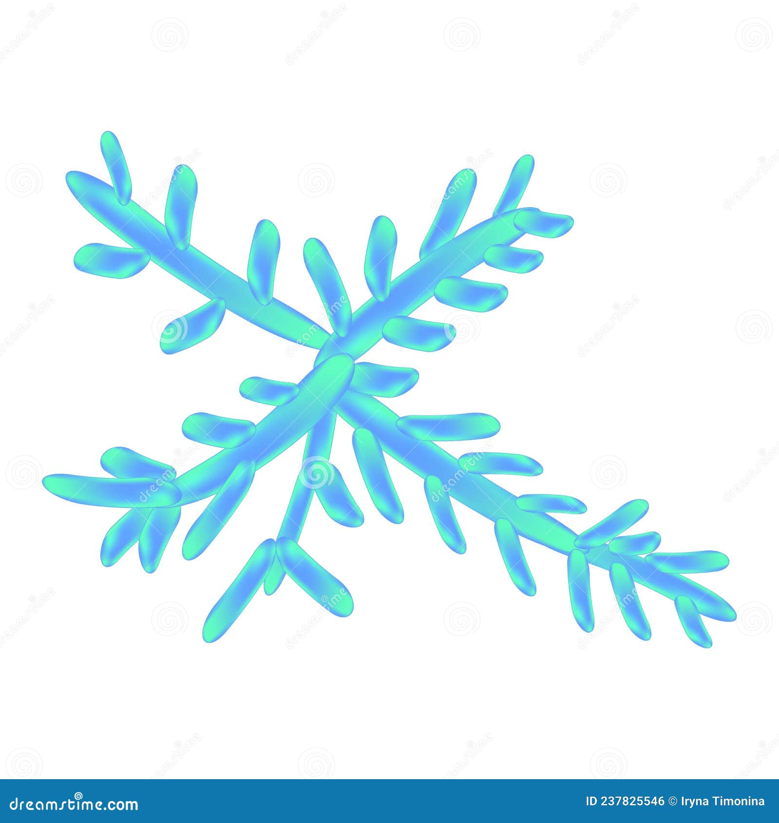 Structure Of Candida Albicans. Infographics. Vector Illustration On ...