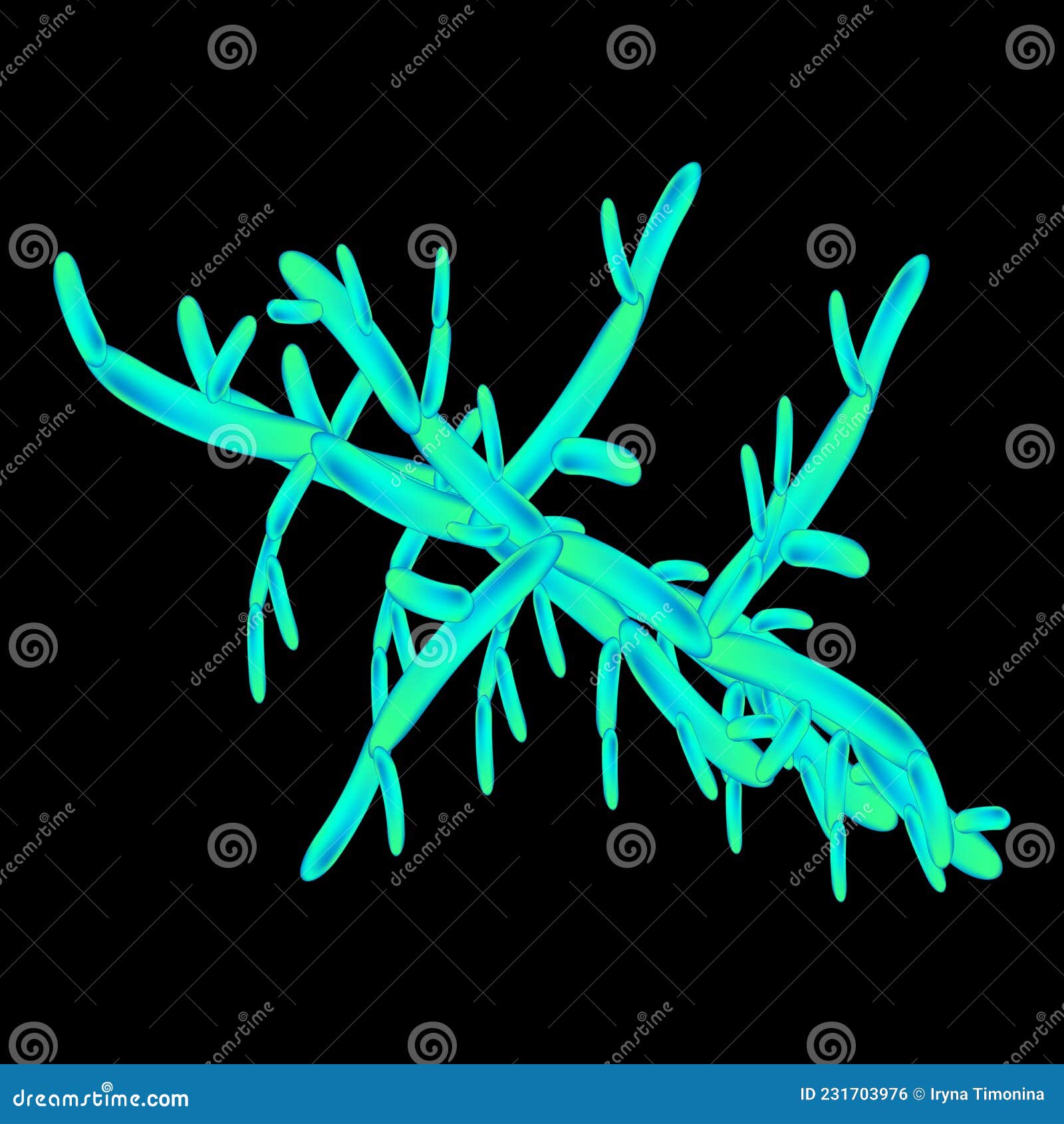 C. Utilis Candida. Pathogenic Yeast-like Fungi Of The Candida Type ...