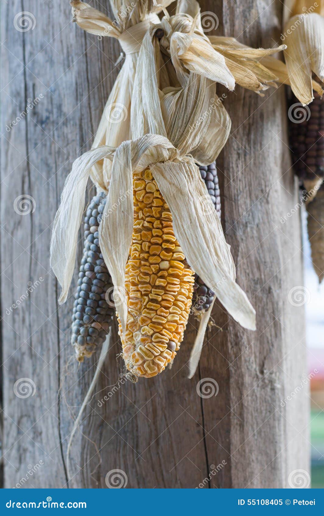 Caída Cerosa De Los Granos En Casa Imagen de archivo - Imagen de ...