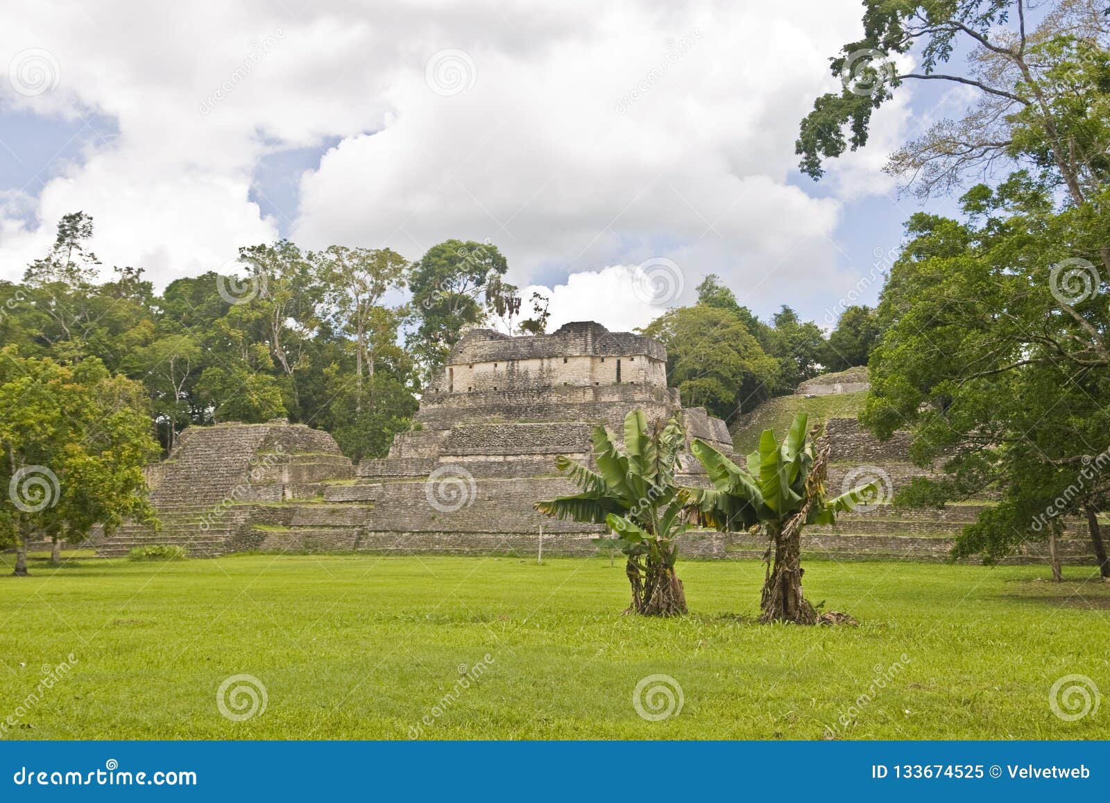 Caana Pyramid at Caracol in Belize Stock Image - Image of ignacio ...