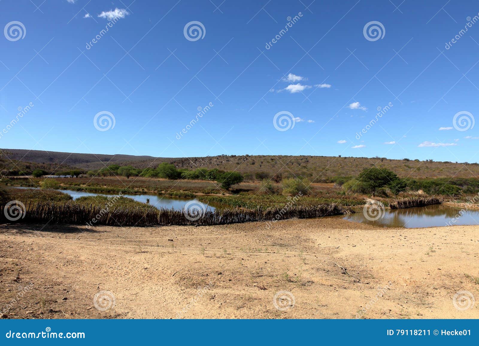 The Caatinga Landscape in Brazil Stock Image - Image of water, savannah ...