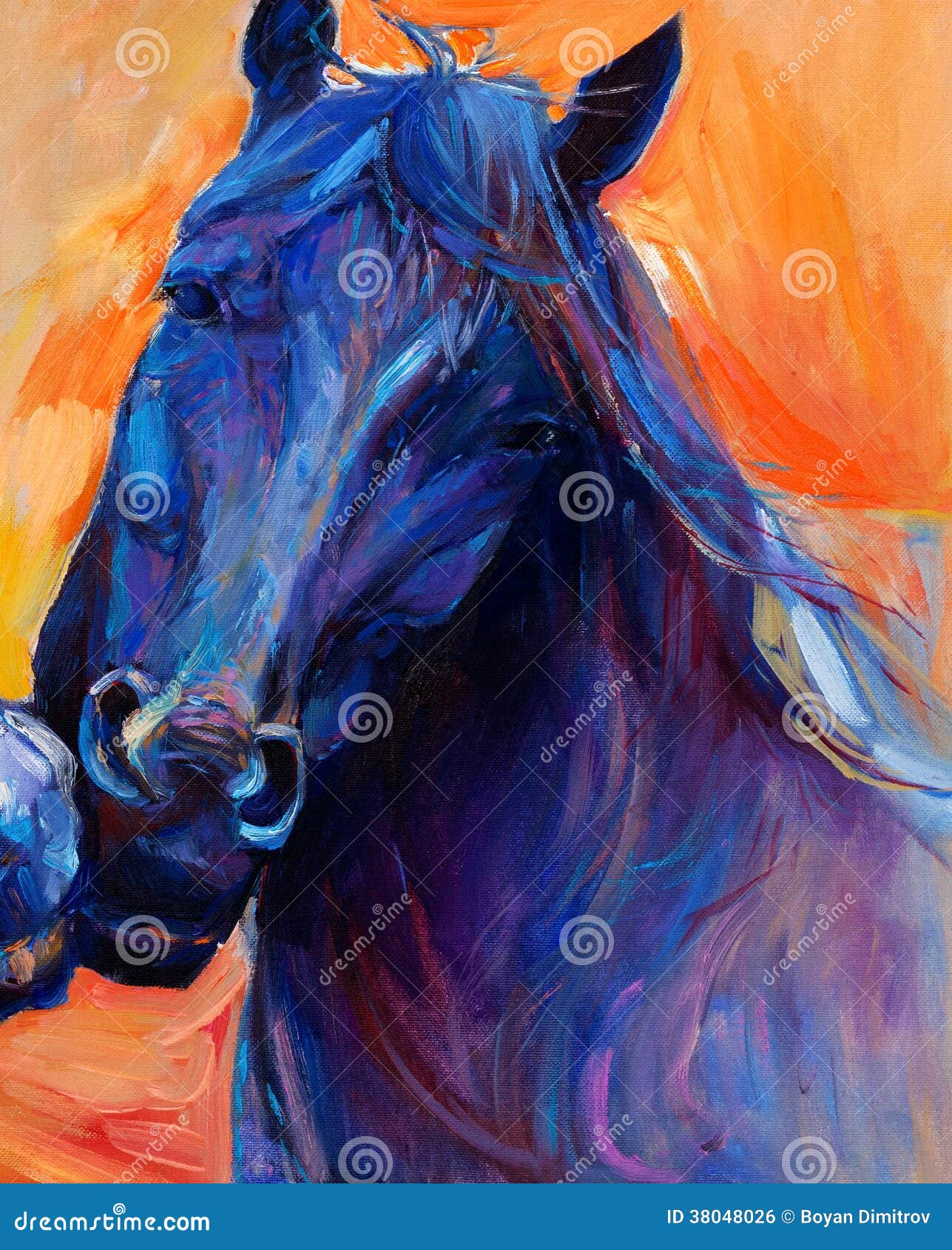 Caballo azul foto de archivo. Imagen de mascota, viejo - 38048026