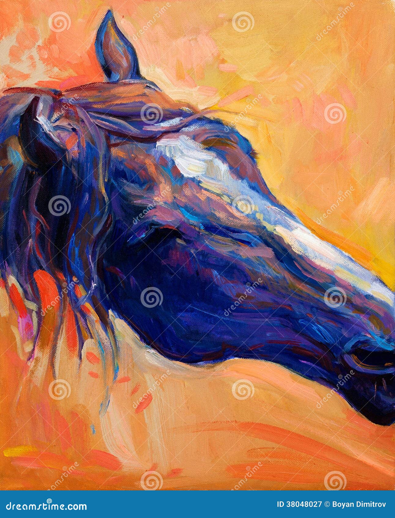 Caballo azul imagen de archivo. Imagen de hermoso, granja - 38048027