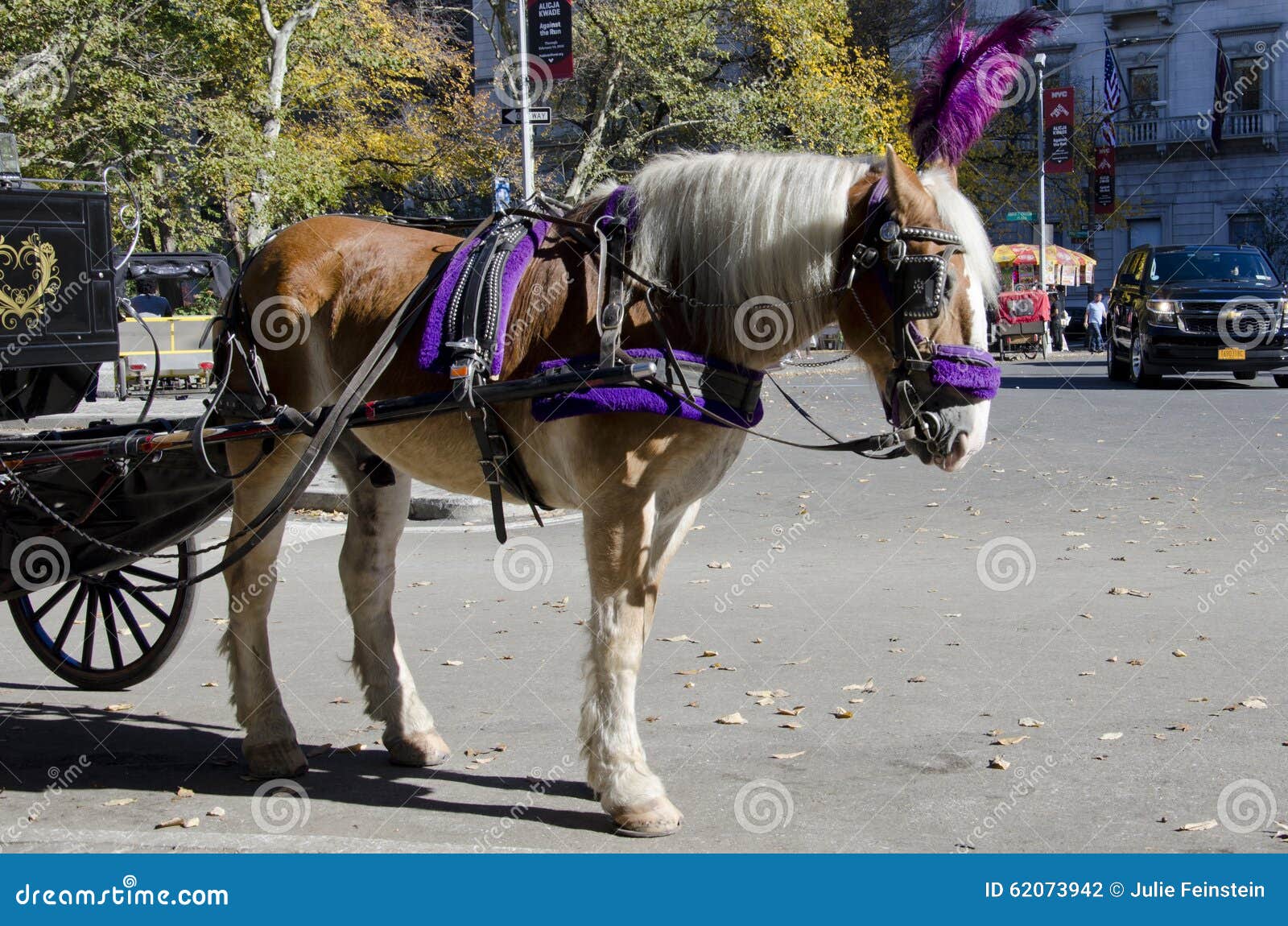 Caballo De Carro De New York City Fotografía editorial - Imagen de ...