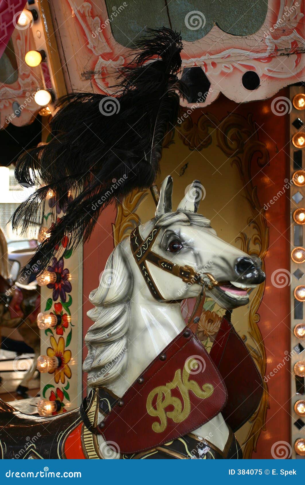 Un Caballo Con Penachos Fotos - Libres de Derechos y Gratuitas de ...