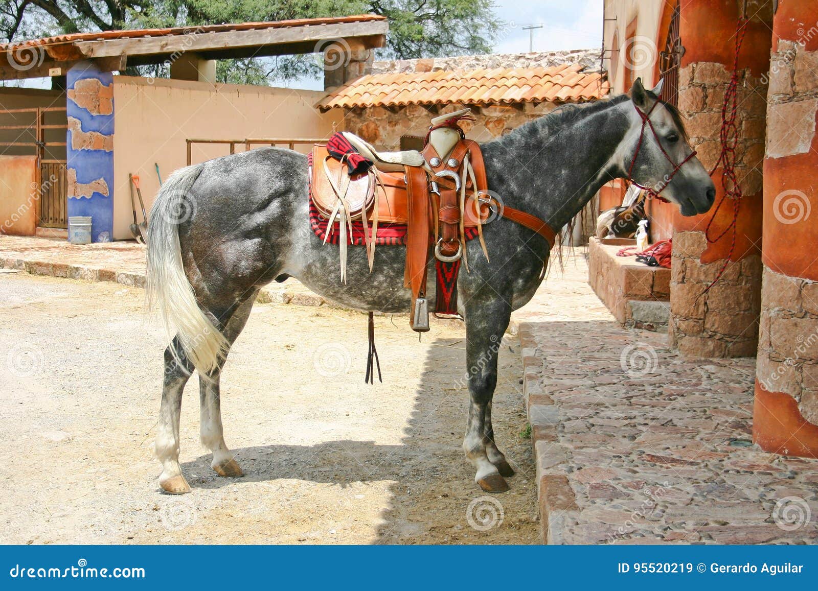 Caballo Del Mexicano De Azteca Imagen de archivo - Imagen de negro ...