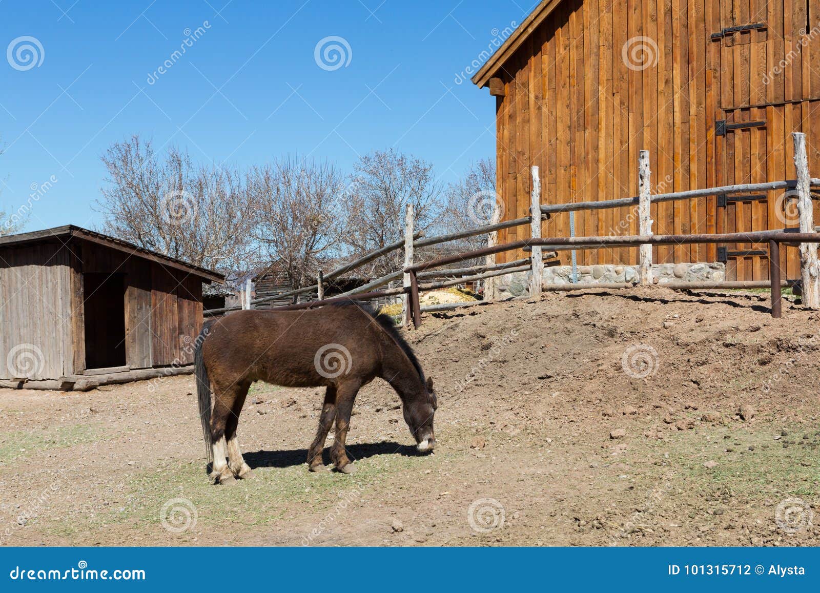 Caballo Del Trabajo En Corral Foto de archivo - Imagen de registros ...