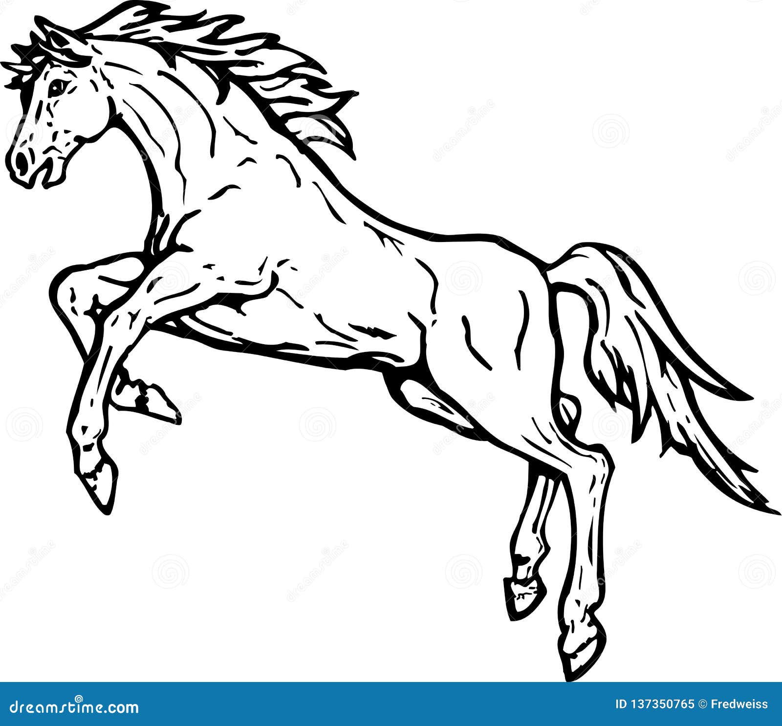 Caballo Que Alza El Ejemplo Del Vector Ilustración del Vector ...