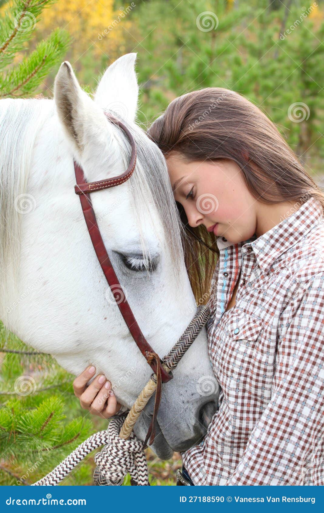 Caballo y ser humano foto de archivo. Imagen de actividad - 27188590