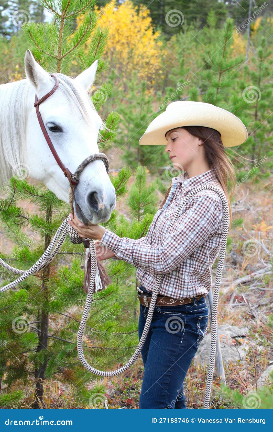 Caballo y ser humano foto de archivo. Imagen de mezclilla - 27188746