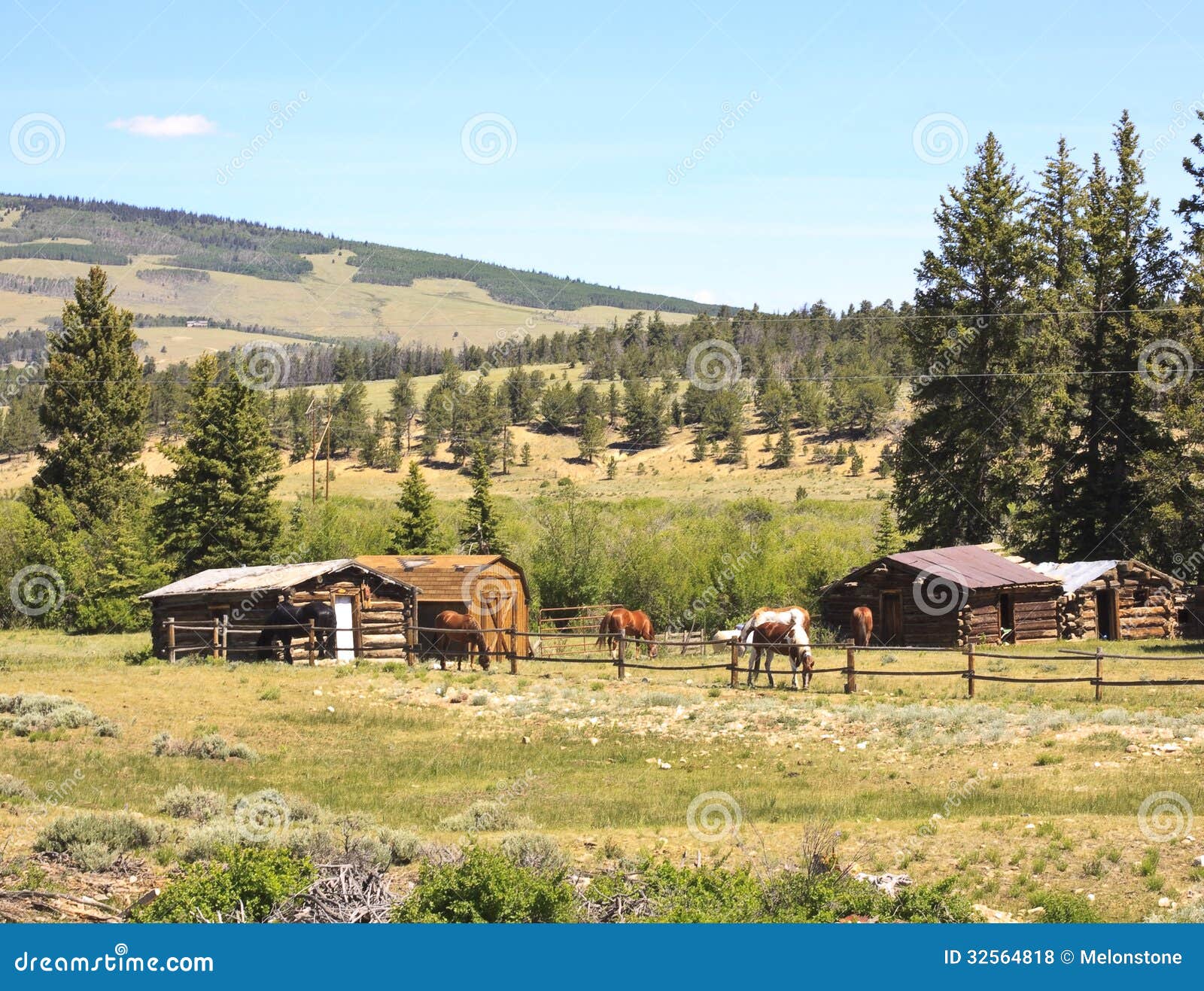Caballos En Corral Del Rancho Foto de archivo - Imagen de carril ...