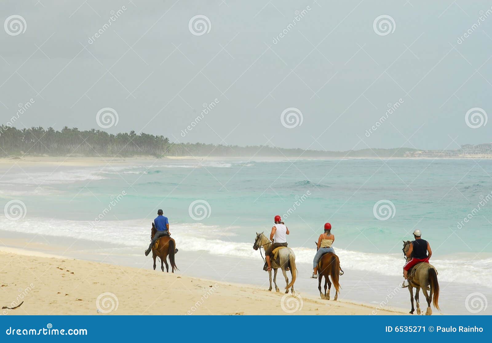 Caballos en la playa imagen de archivo. Imagen de lifestyle - 6535271
