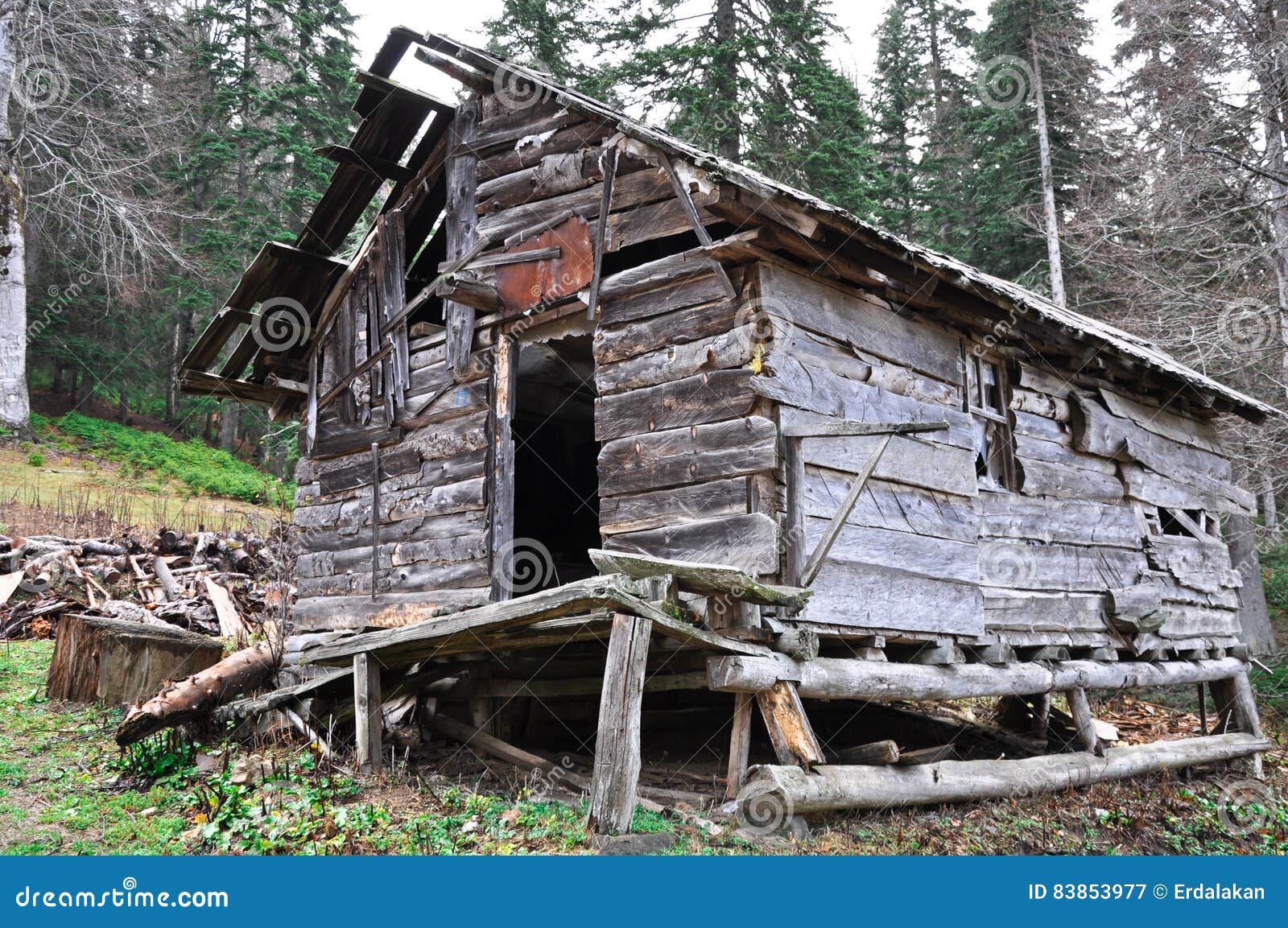 Cabane En Bois Dans La Forêt Image stock - Image du lifestyle, nature ...